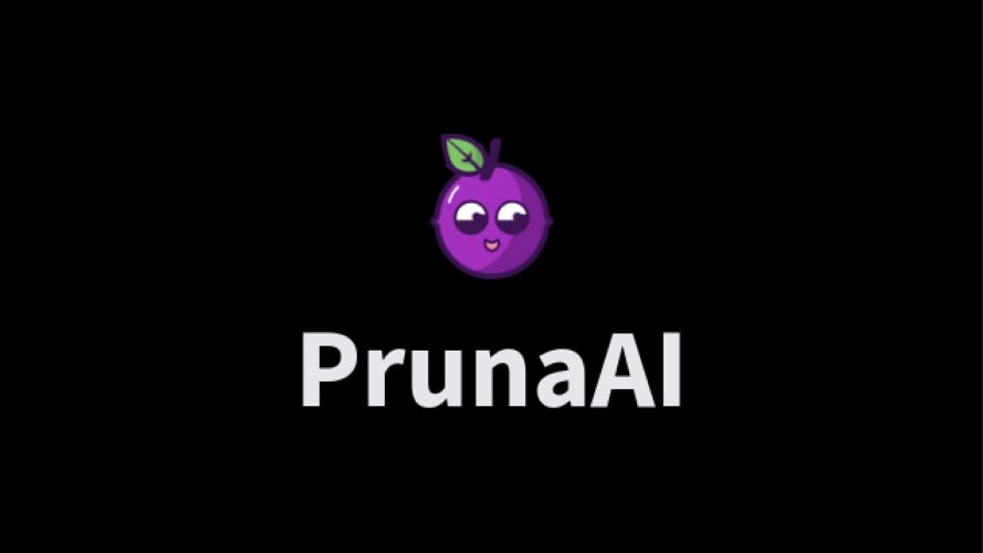 Pruna AI: Shaping the Future of Efficient Machine Learning - Future of ... Pruna AI: Shaping the Future of Efficient Machine Learning - Future of ...